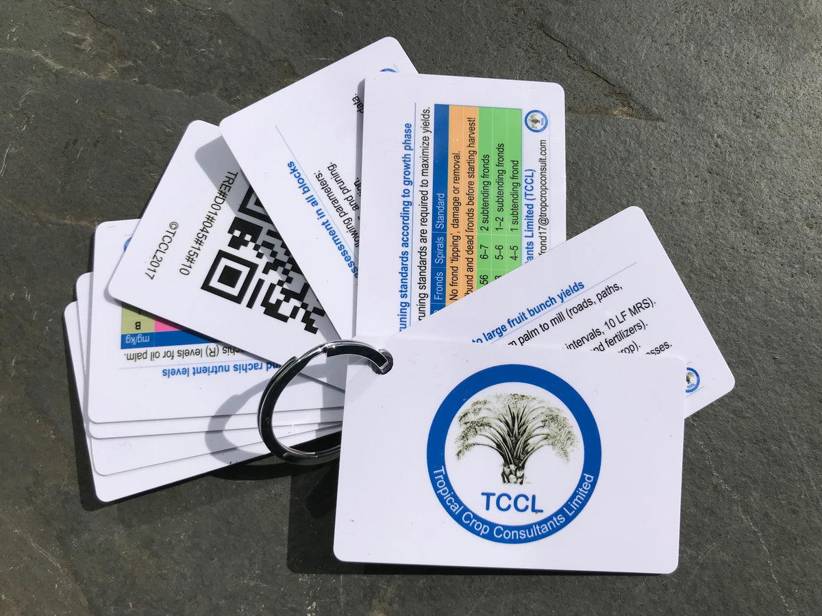 Nine key ring extension cards (plastic, credit-card size) – TCCL Shop